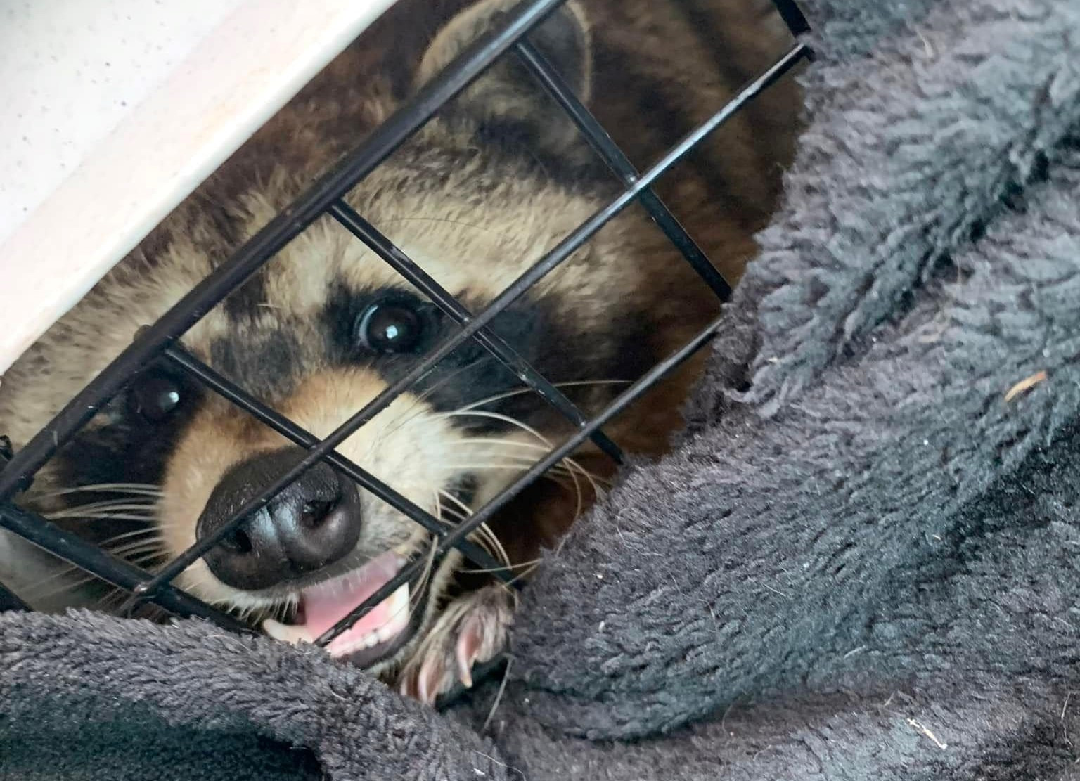 Russian prisoner of war asks his government to exchange him for Kherson ...