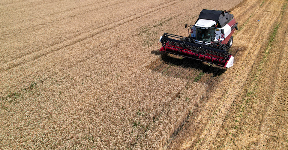 Ukraine hopes to harvest near-record grain crop due to weather ...