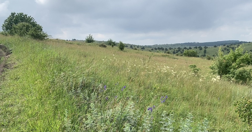 На Тернопільщині вимагають повернути державі землі на понад 400 млн грн