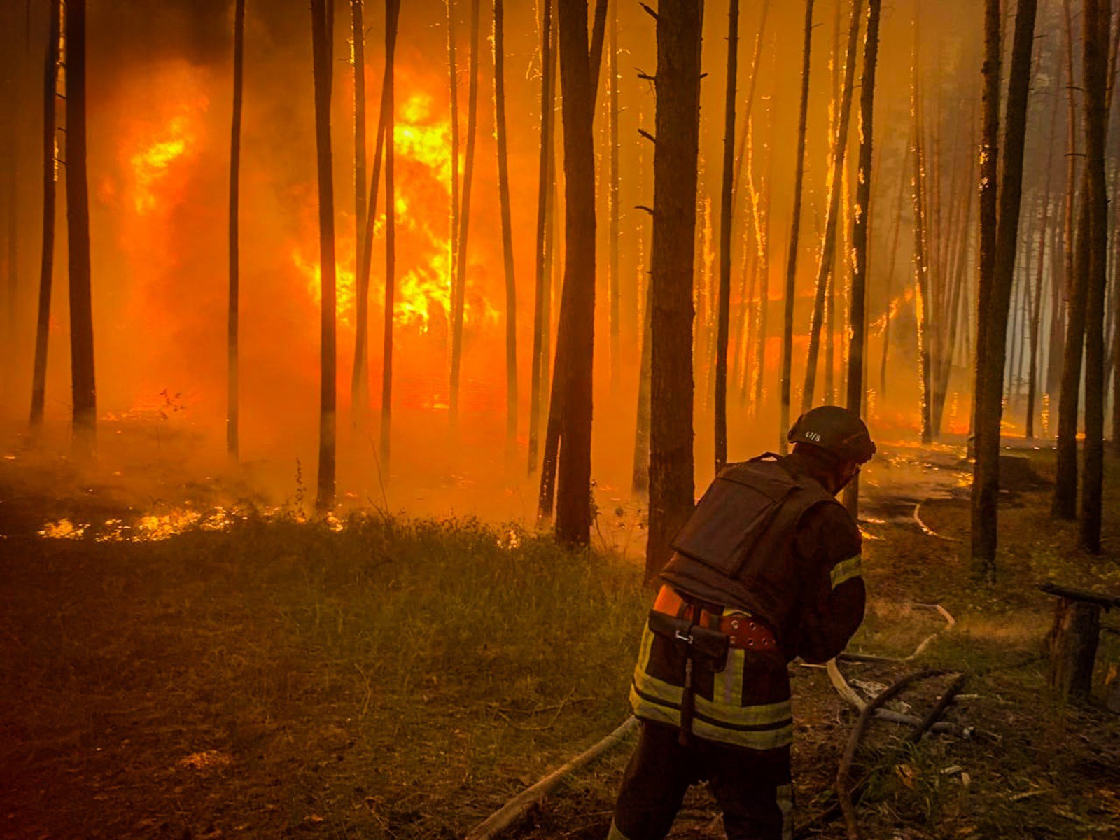 War in Ukraine: 4,000 hectares of forests burn due to Russian attacks