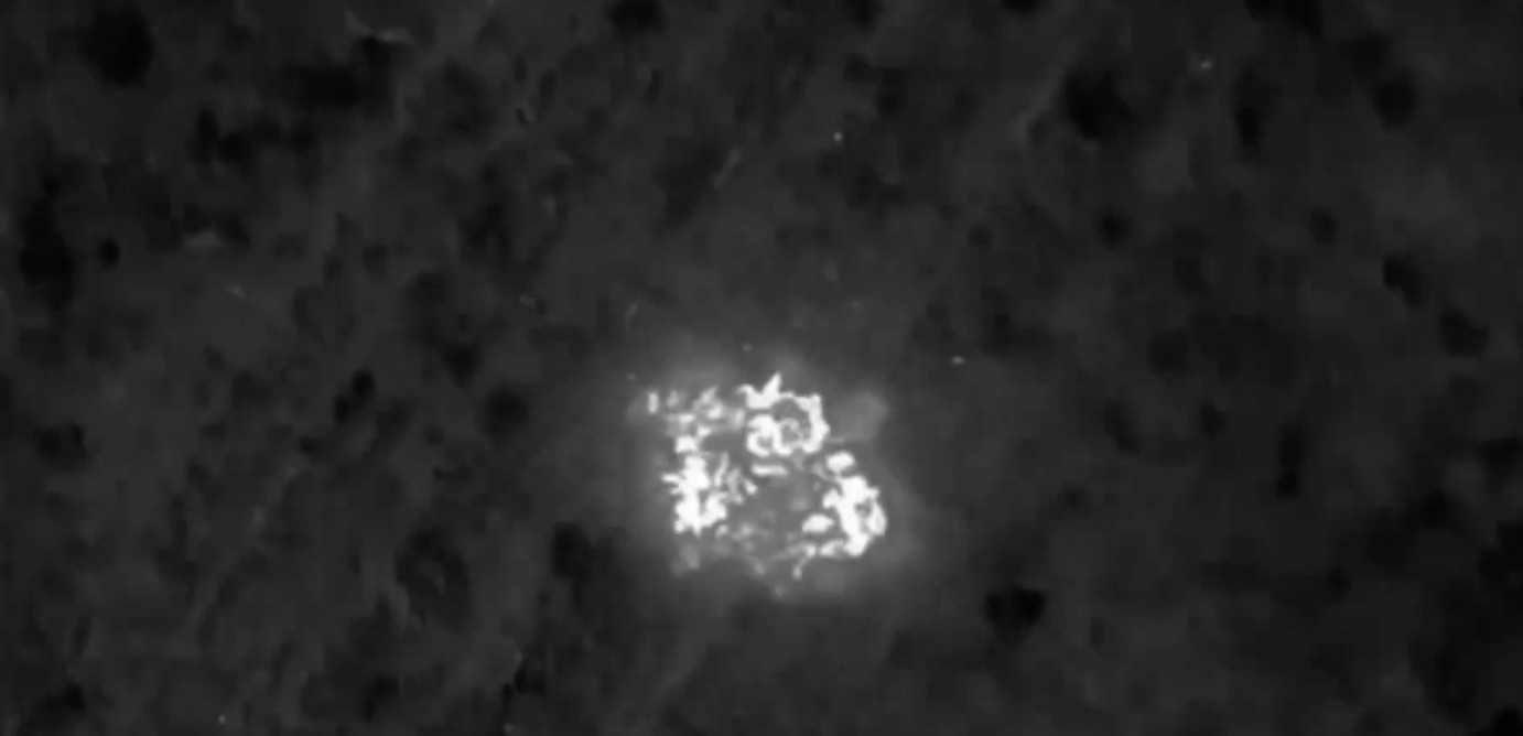 Ukraine’s Edelweiss brigade showcases destroying Russian manpower ...